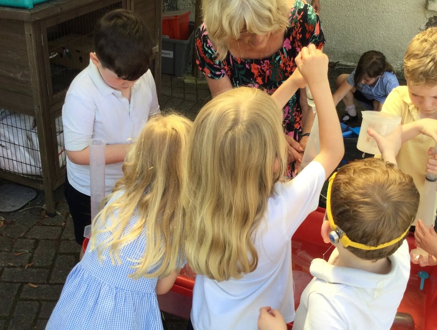 DRAFT: School learns lessons from heatwave | tavistock-today.co.uk